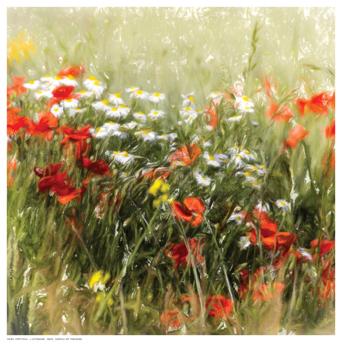 Poppy Field